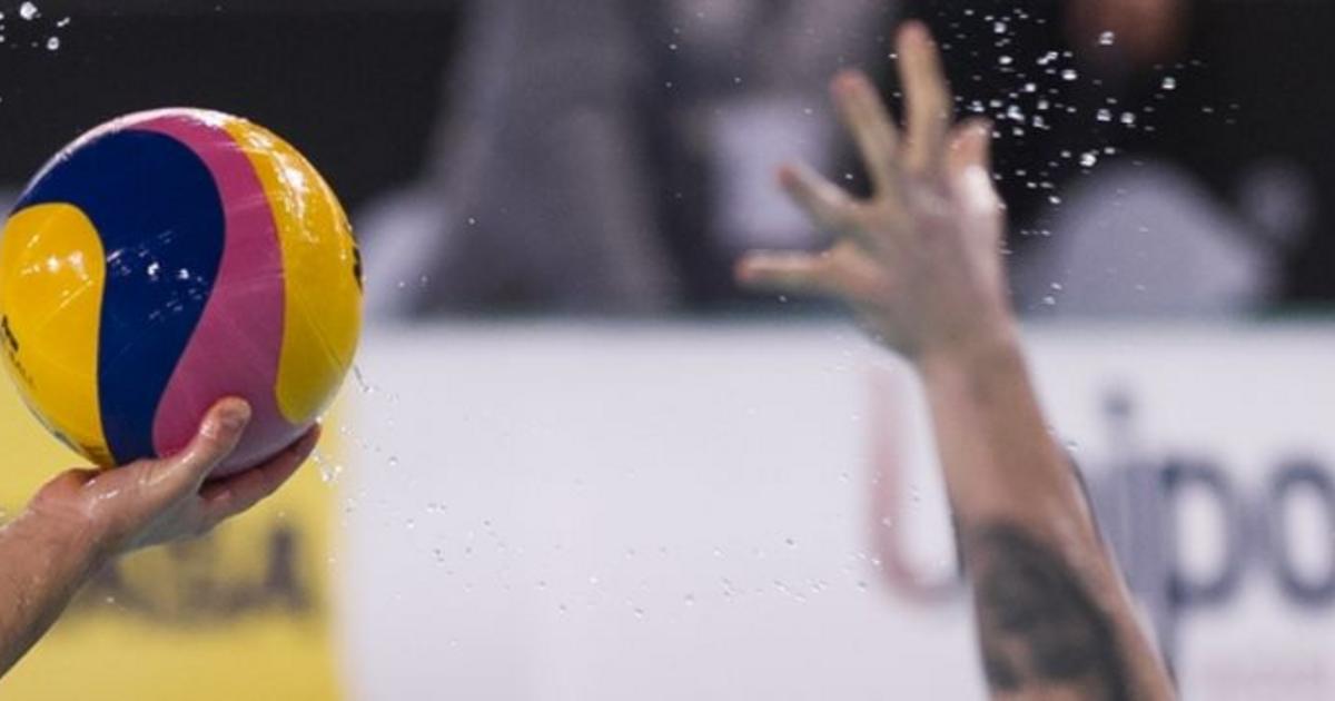 Italian Swimming Federation | Unipol Corporate Sponsorship Program